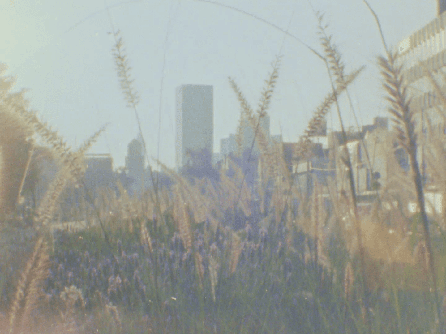 Nuestro Cine MX | Catálogo