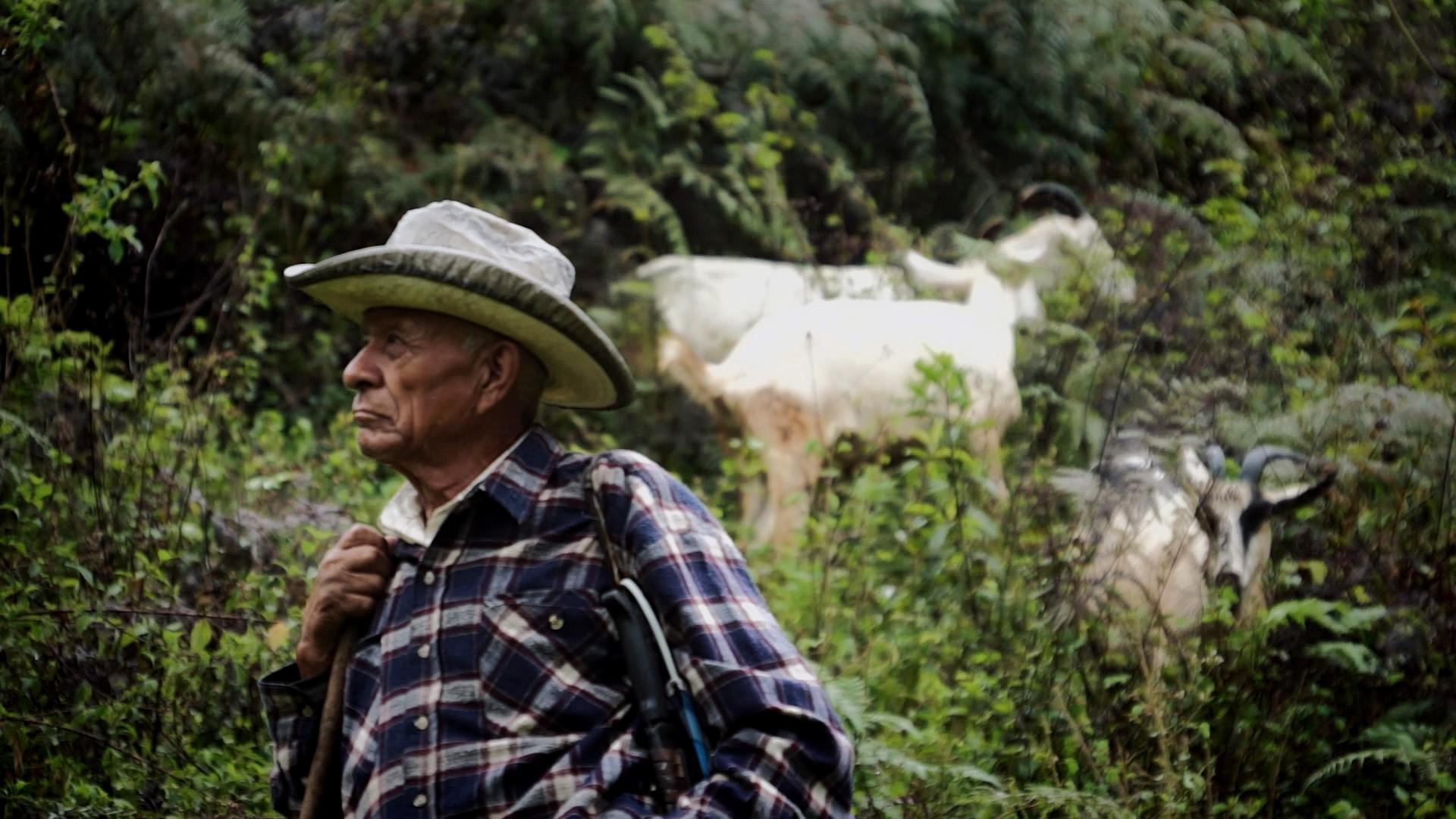 Don Isidro: una vida pastoreando