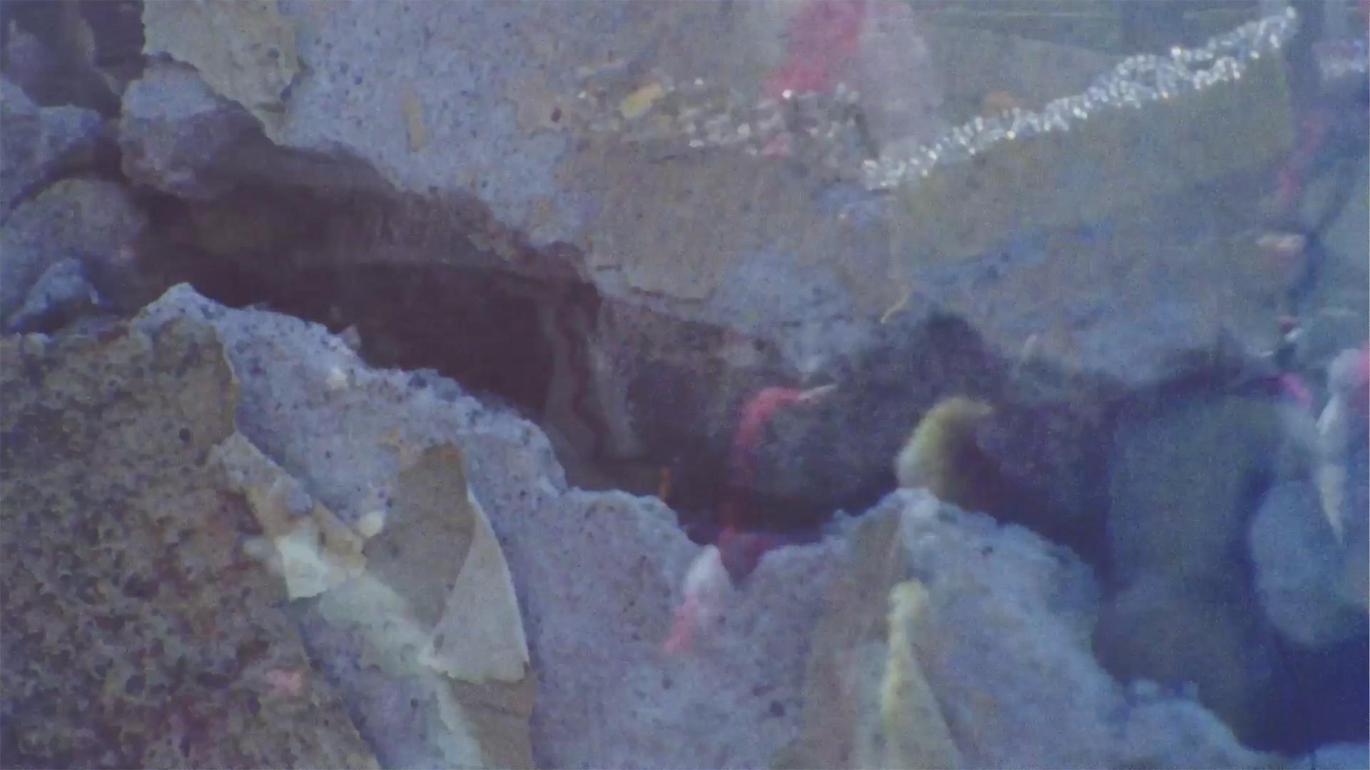 Nuestro Cine MX | Catálogo